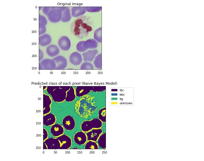 Ml Guide On Cell Segmentation Using Watershed Algorithm